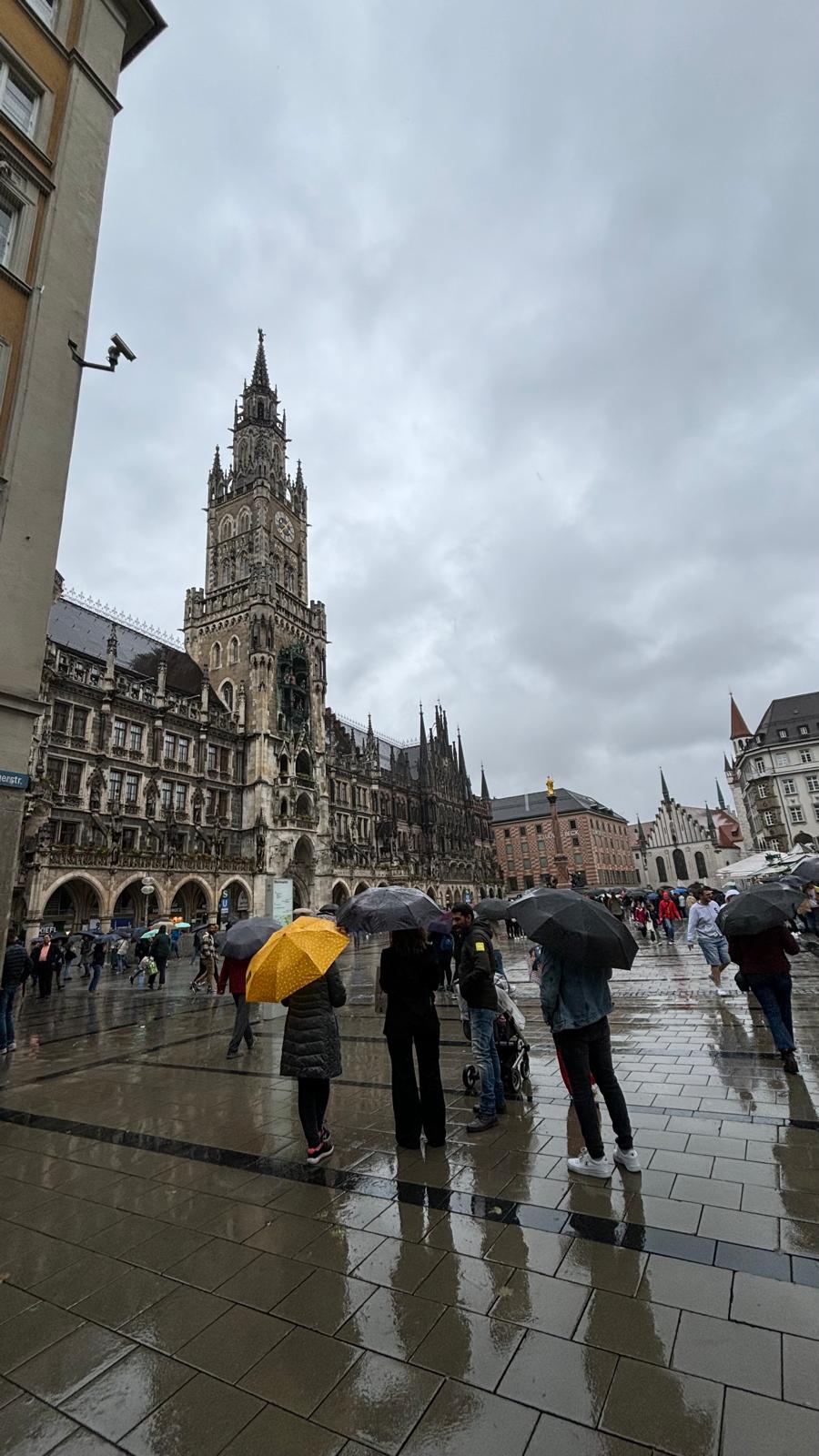 | Erasmus Generation Portal