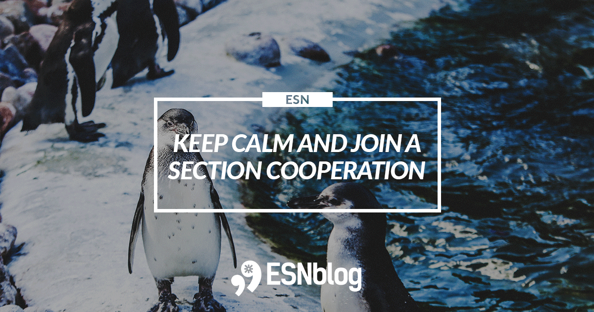 Keep calm and join a Section Cooperation | Erasmus Generation Blog